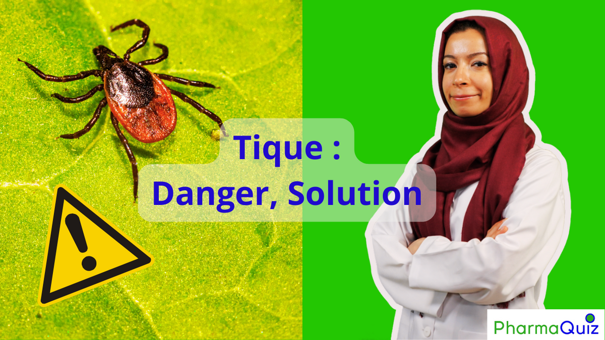 Piqûre de tique : que faire ? Symptômes et retrait rapide – Pharmaquiz