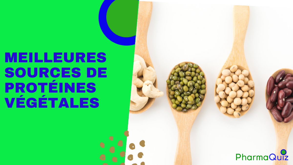 Quelles sont les meilleures sources de protéines végétales ? – Pharmaquiz